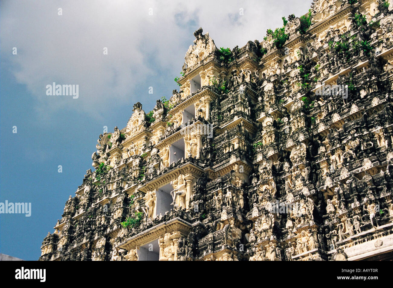 Chikka devaraja wodeyar hi-res stock photography and images - Alamy