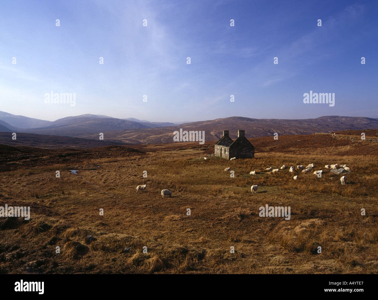 Scottish croft hi-res stock photography and images - Alamy