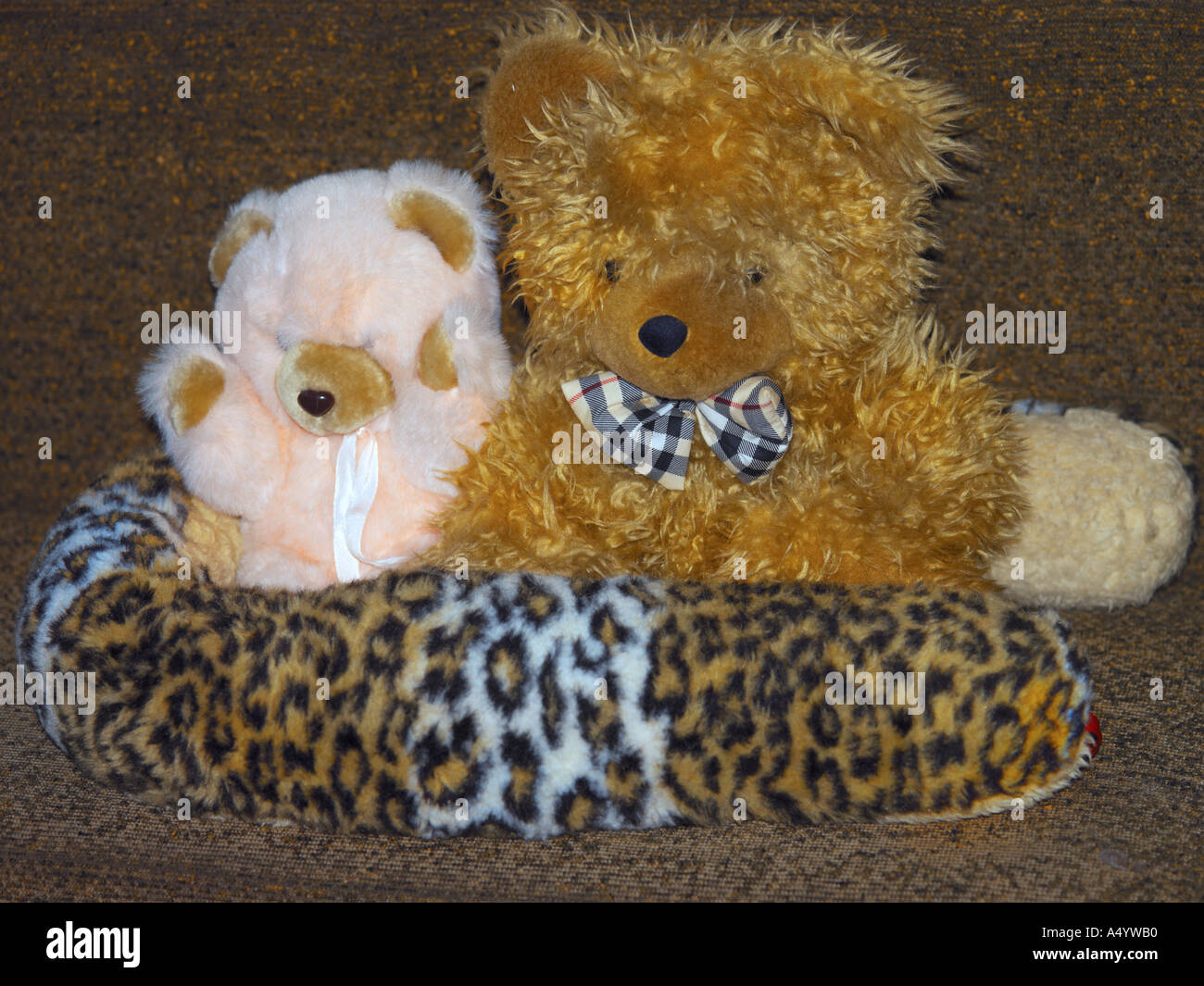 The teddy bears hi-res stock photography and images - Alamy