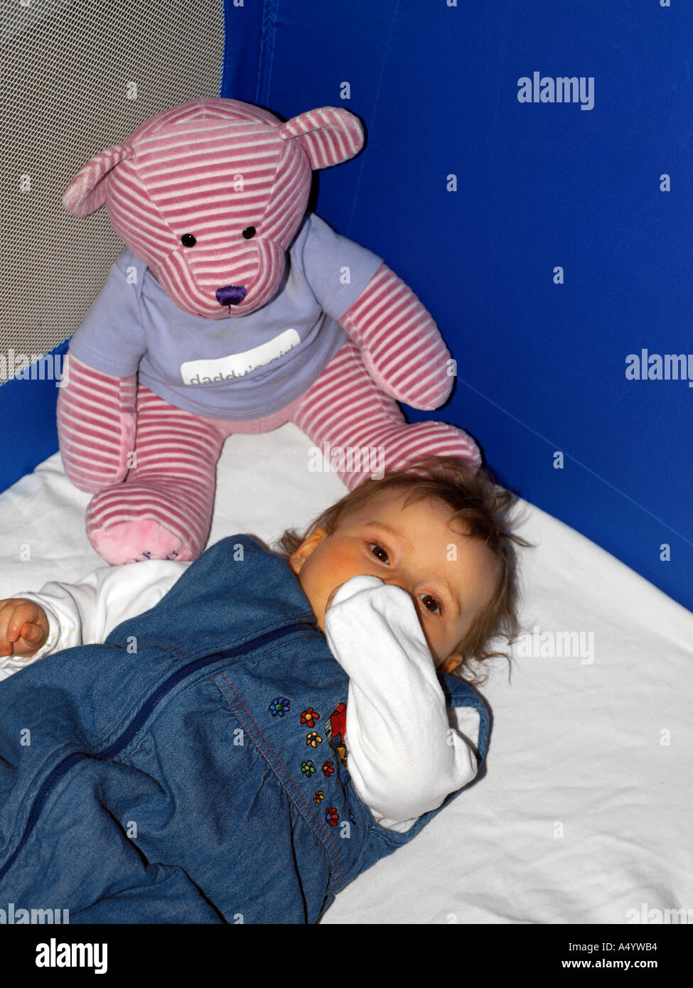 10 Month Old Baby Girl in Sleeping Bag with Pink Stripey Teddy Bear ...