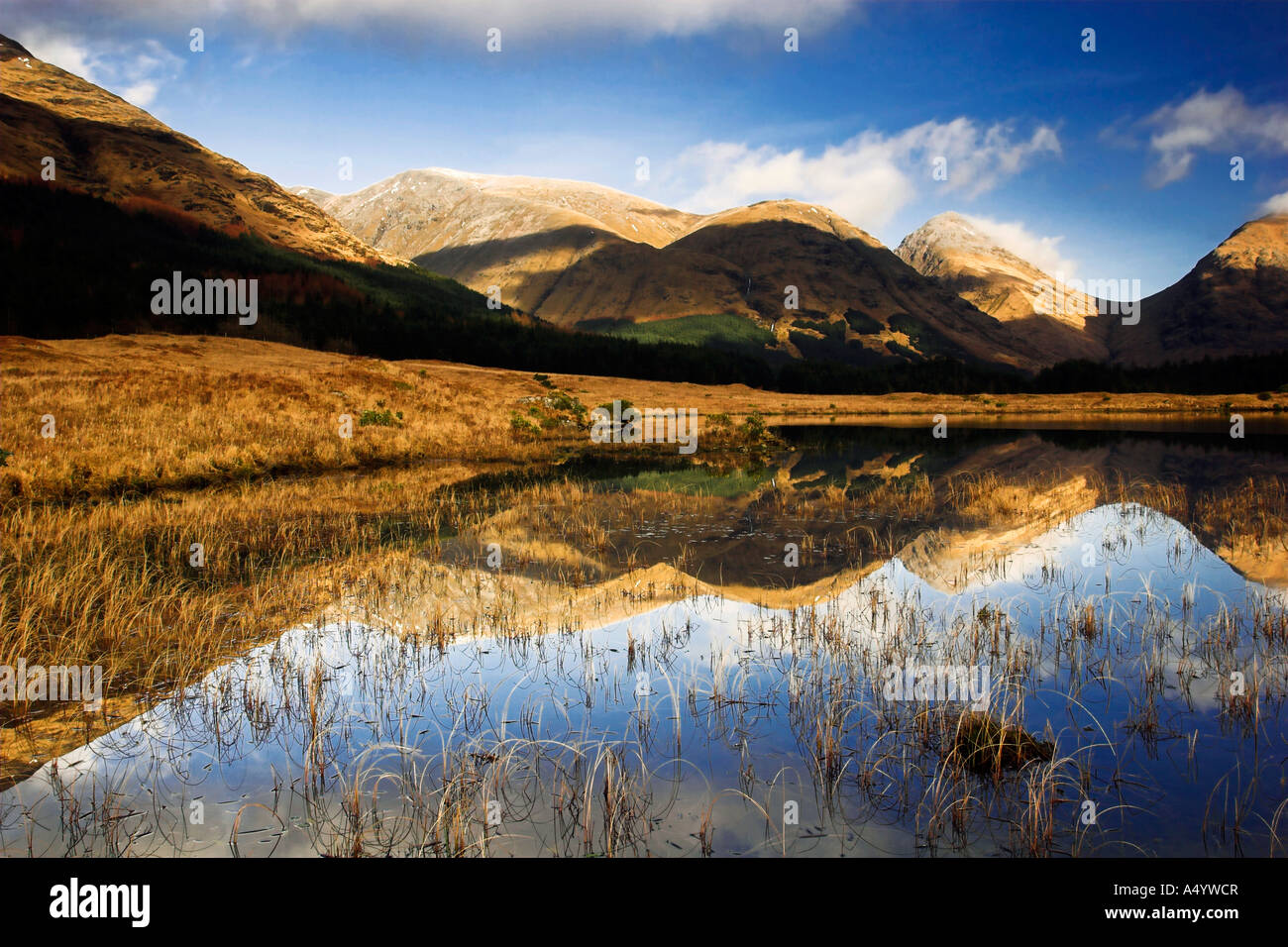 Beautiful lochan urr hi-res stock photography and images - Alamy