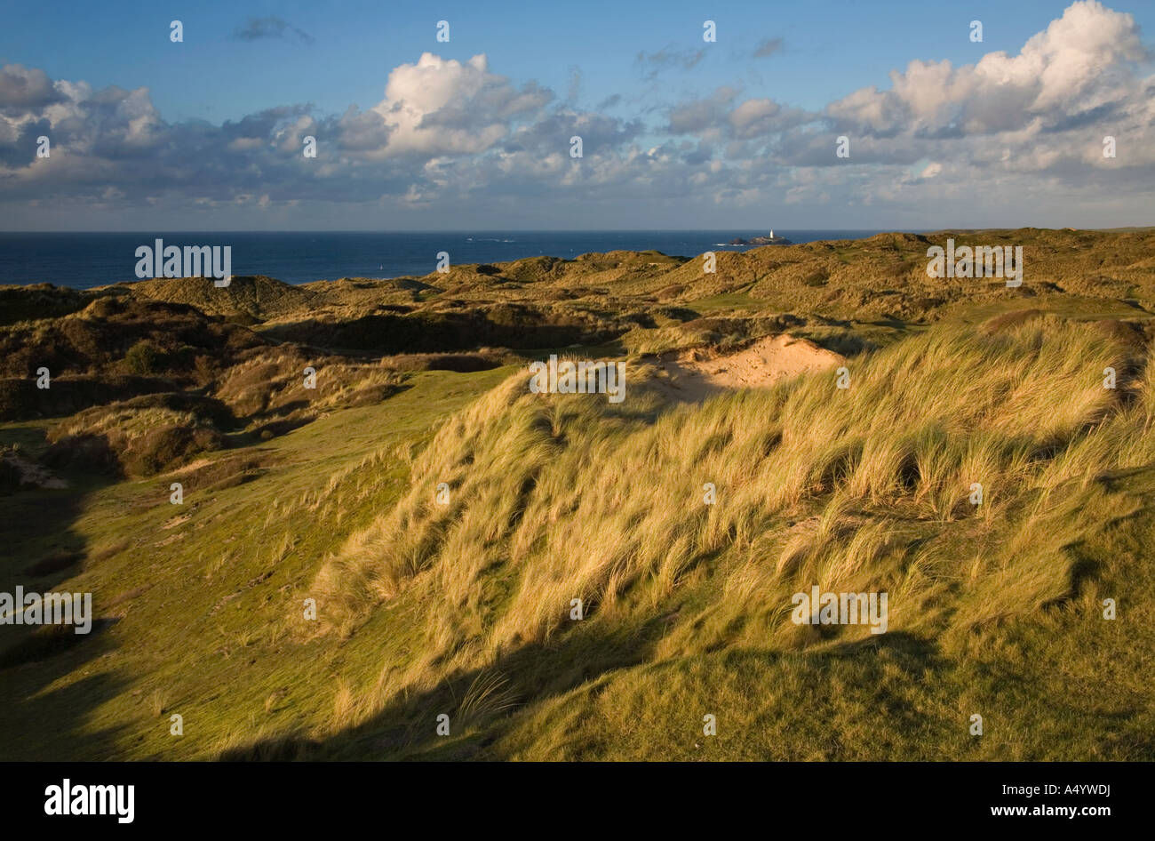 Dune system cornwall hi-res stock photography and images - Alamy