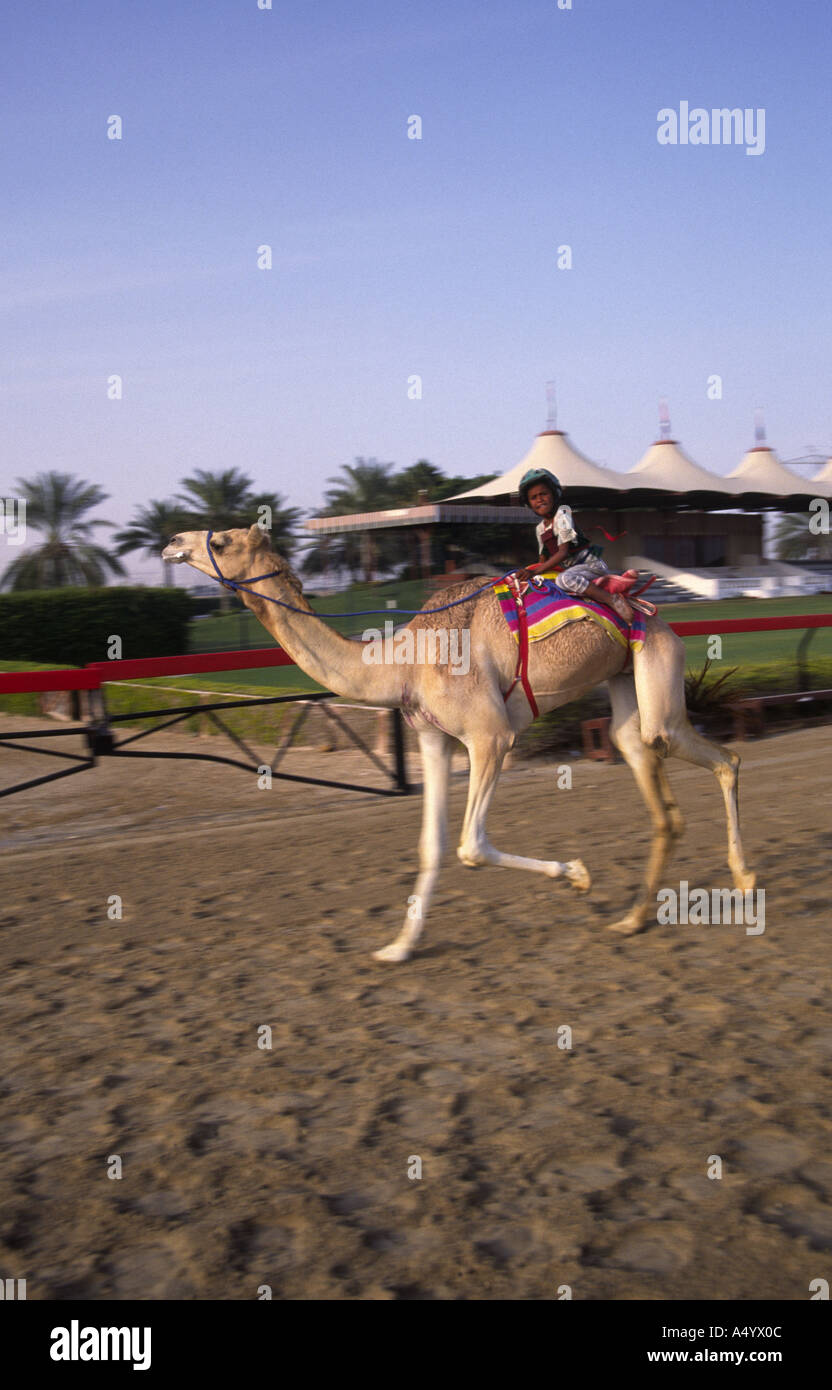 Boy Camel Racer Dubai United Arab Emirates Stock Photo - Alamy