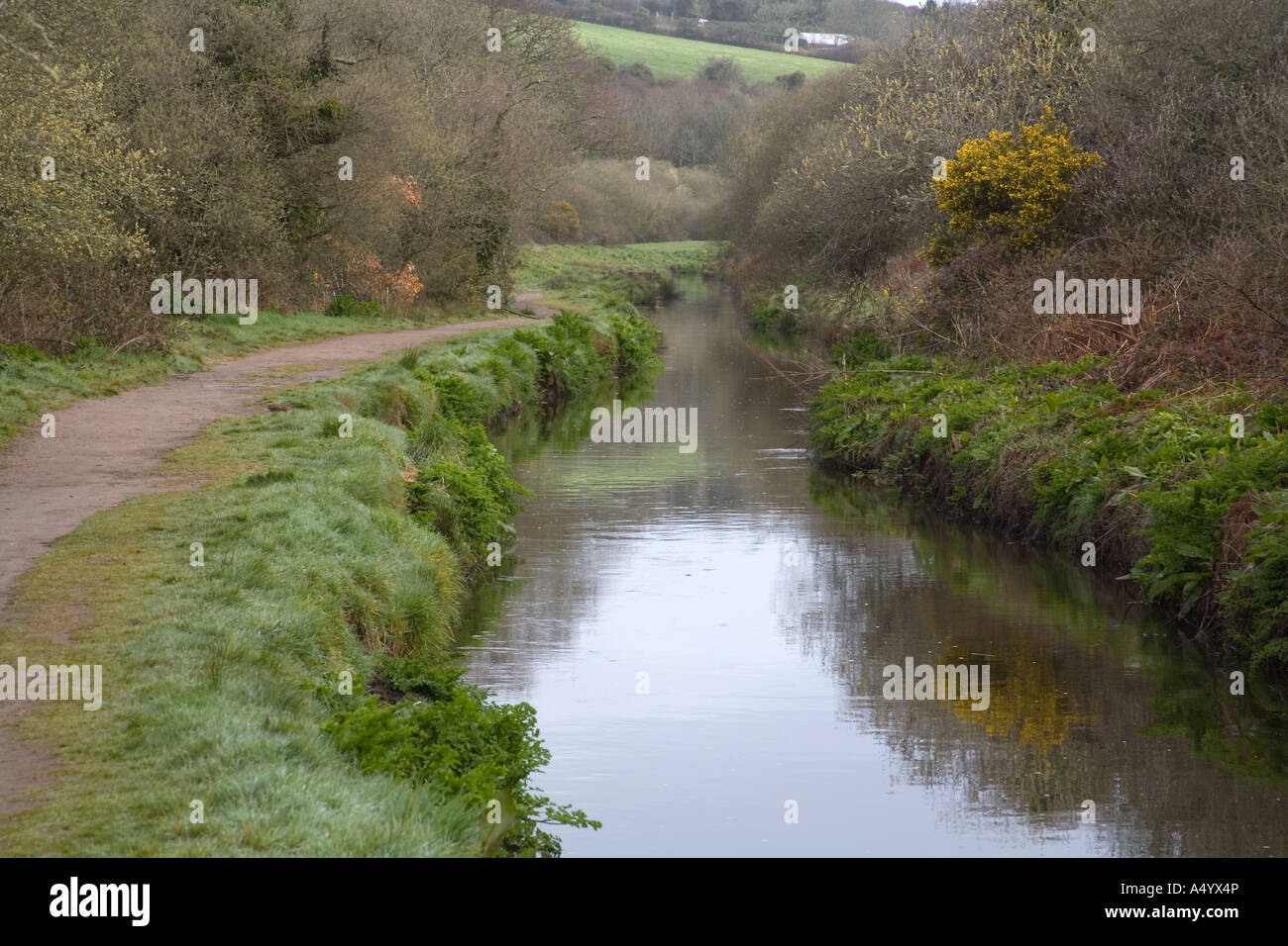 path alongside the river cober helston cornwall Stock Photo - Alamy