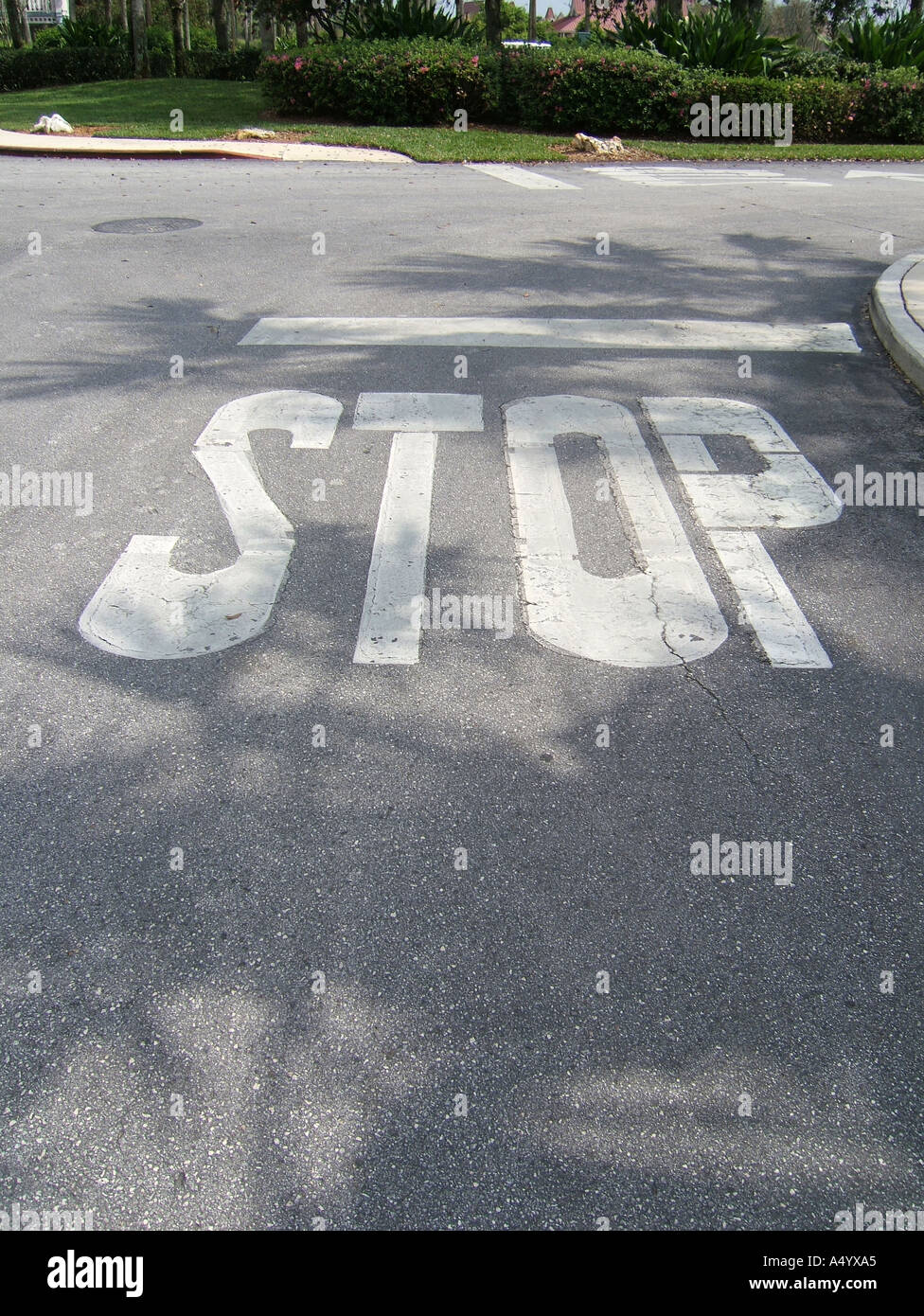 Obey the stop sign hi-res stock photography and images - Alamy