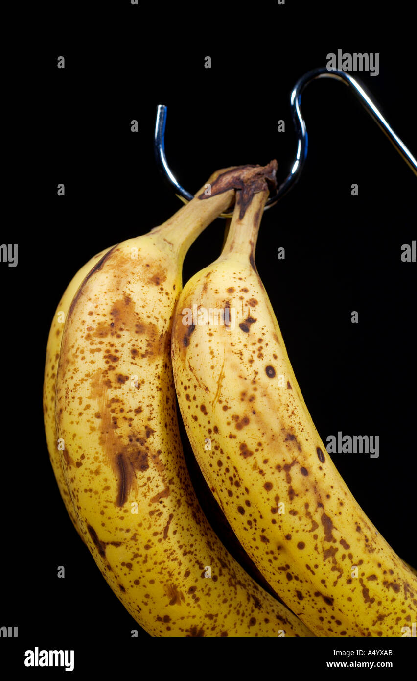 From a hook hi-res stock photography and images - Alamy