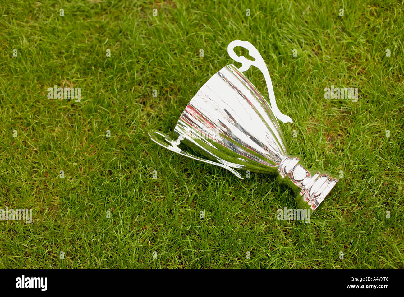 Trophy on football pitch Stock Photo - Alamy