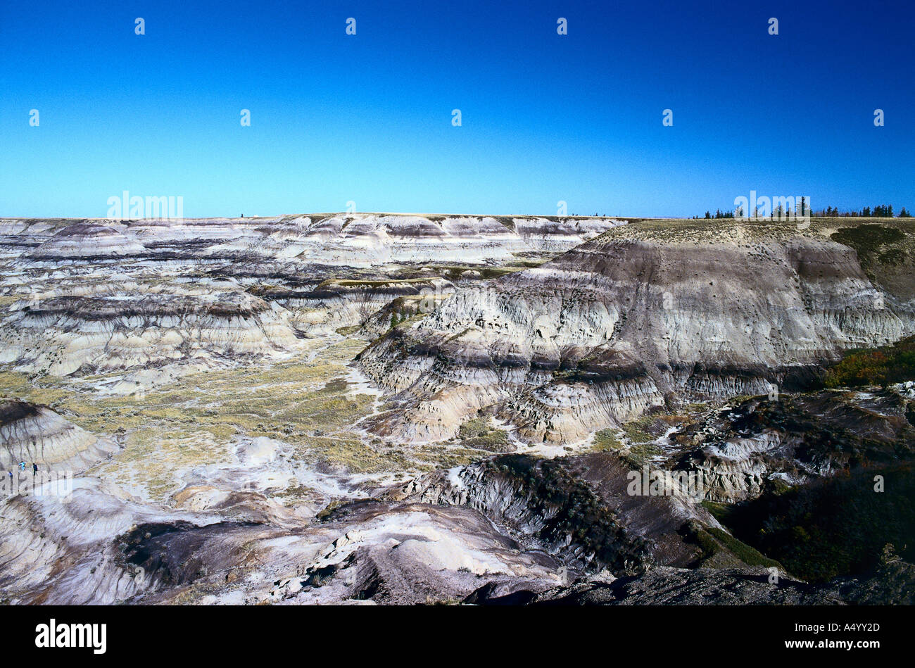 Badlands Alberta Canada Stock Photo - Alamy