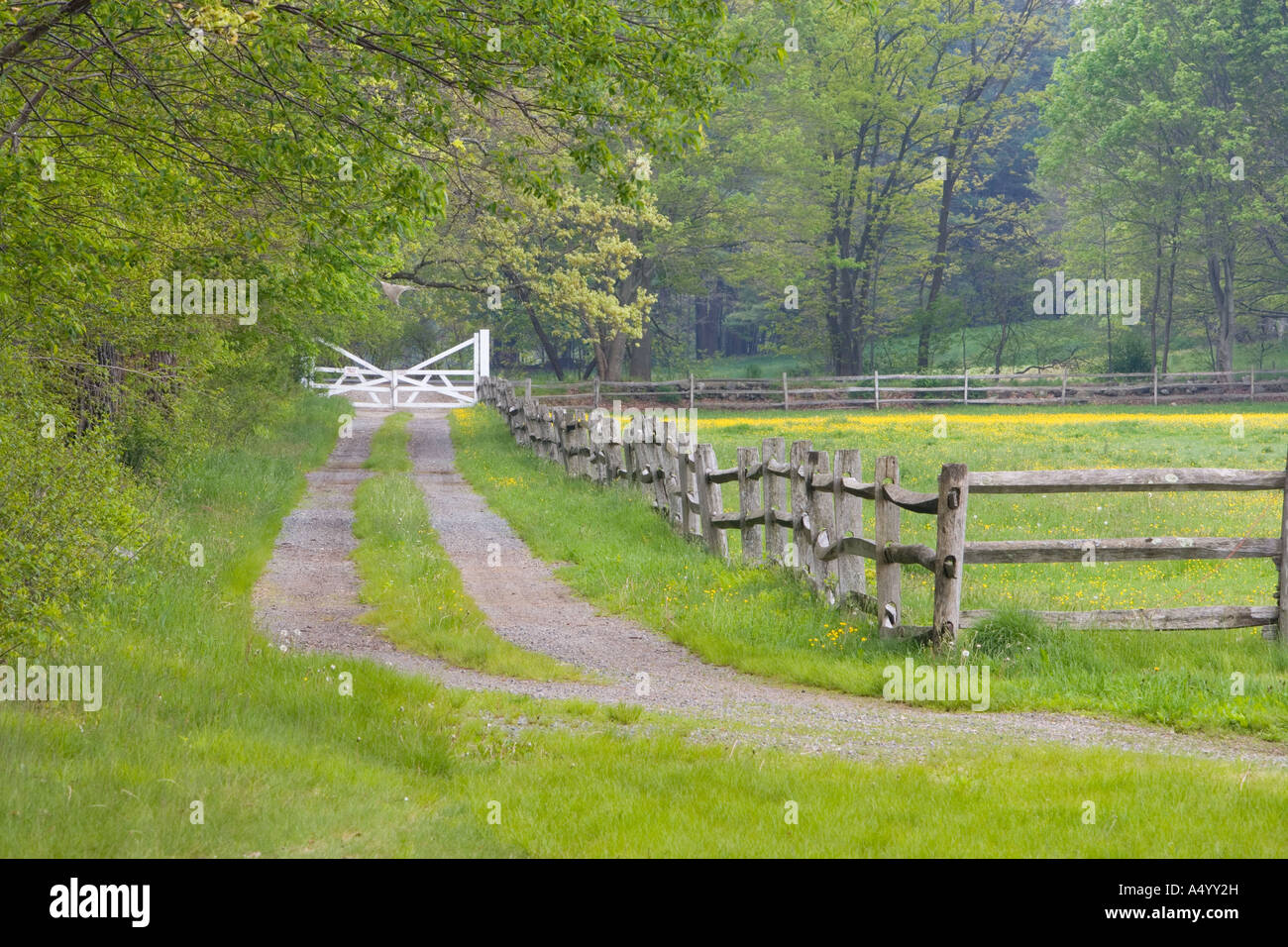 A split rail fence and farm road in Ipswich Massachusetts USA Stock ...