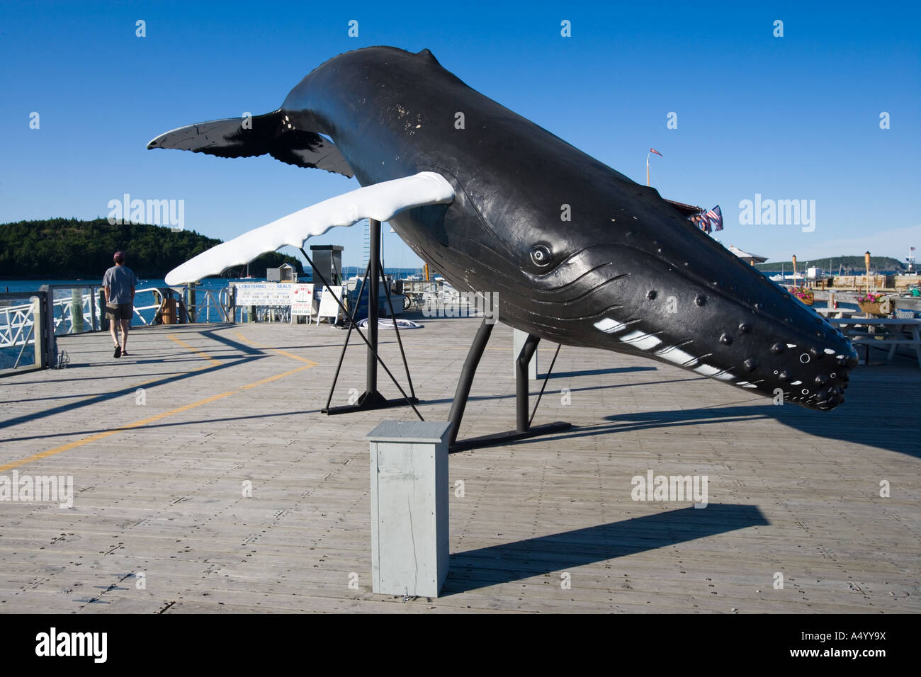 A Humpback Whale sculpture on a dock in Bar Harbor Maine USA Stock ...