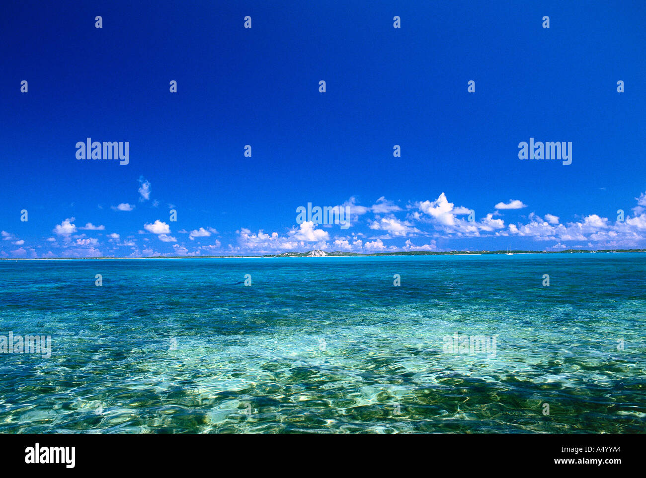 The exumas beach hi-res stock photography and images - Alamy