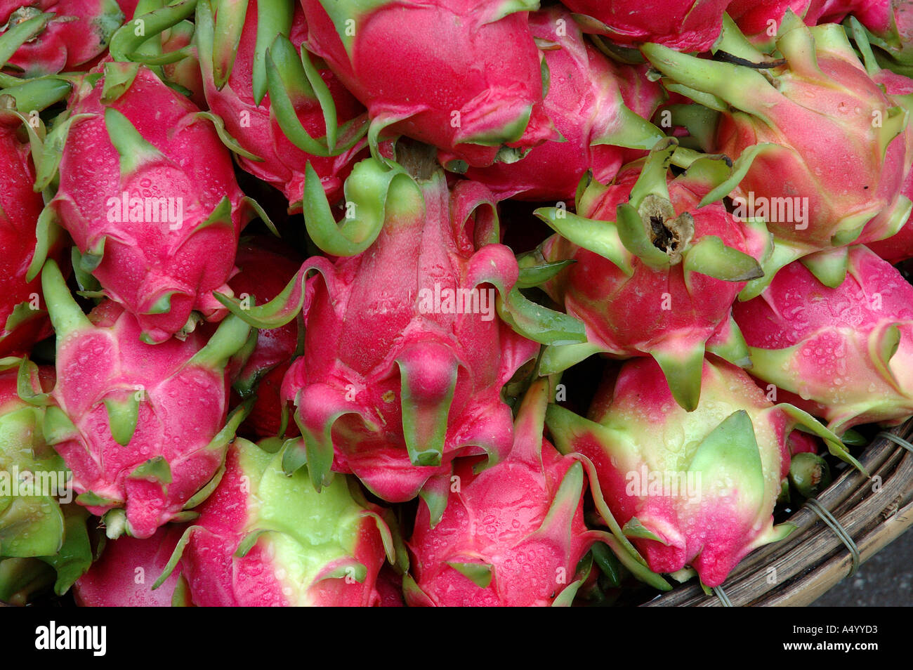 Dragon fruit Hue Market Dong Ba Market Vietnam South East Asia ...