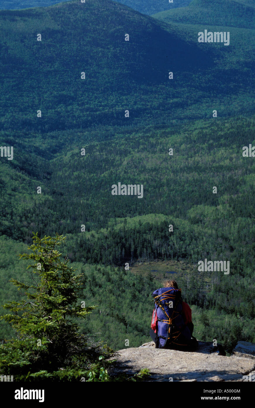 Zeacliff Mountain Backpacking in the Pemigewasset Wilderness Area ...