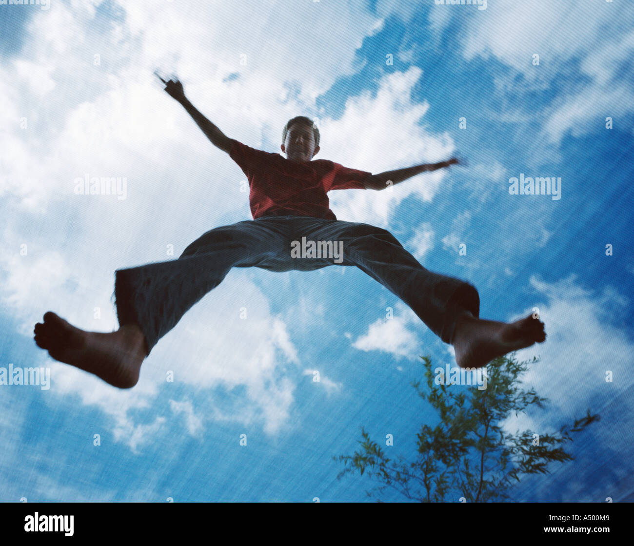 Good moo hi-res stock photography and images - Alamy