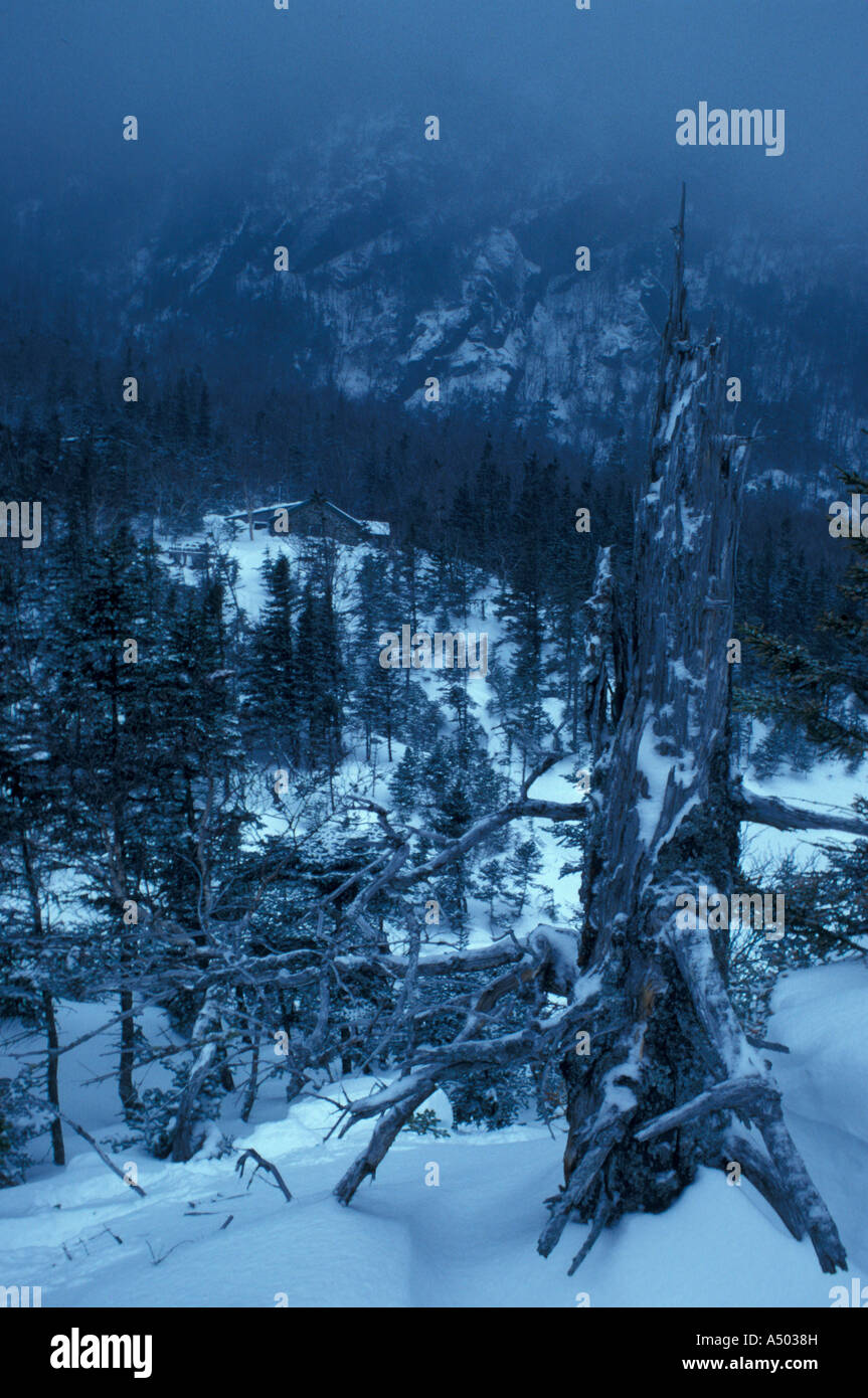 Gnarly old spruce trees The AMC s Carter Notch Hut and the cliffs of ...