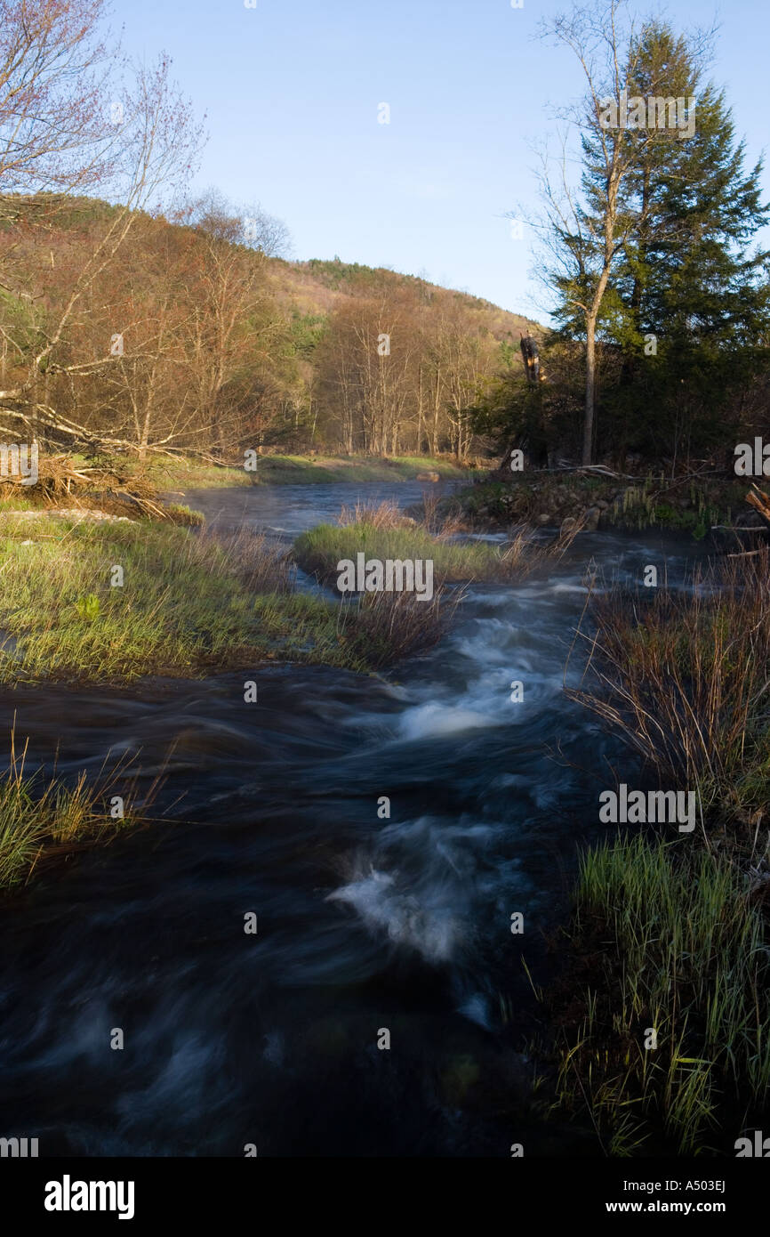 A spring morning on the Ashuelot River in Surry New Hampshire A ...