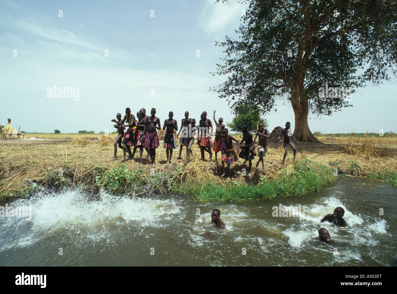 Mandari hi-res stock photography and images - Alamy