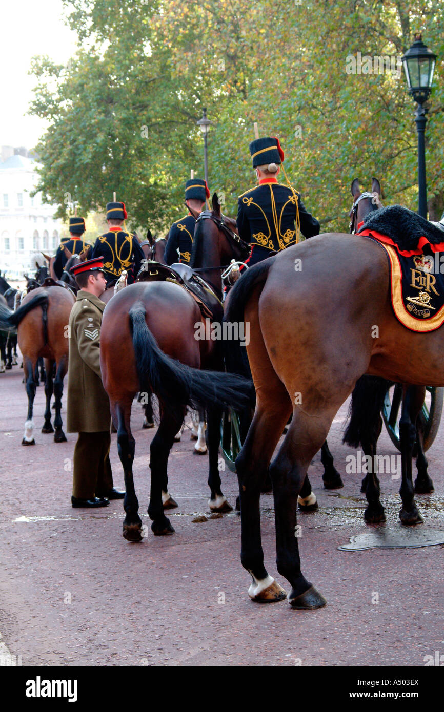 Remembrance Day 2006 in London Stock Photo - Alamy