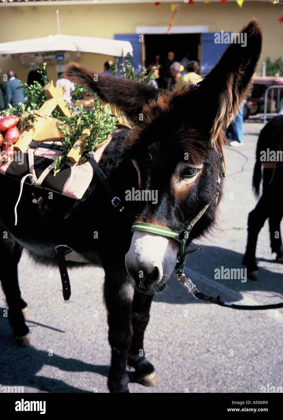 Donkey carrying fruit hi-res stock photography and images - Alamy
