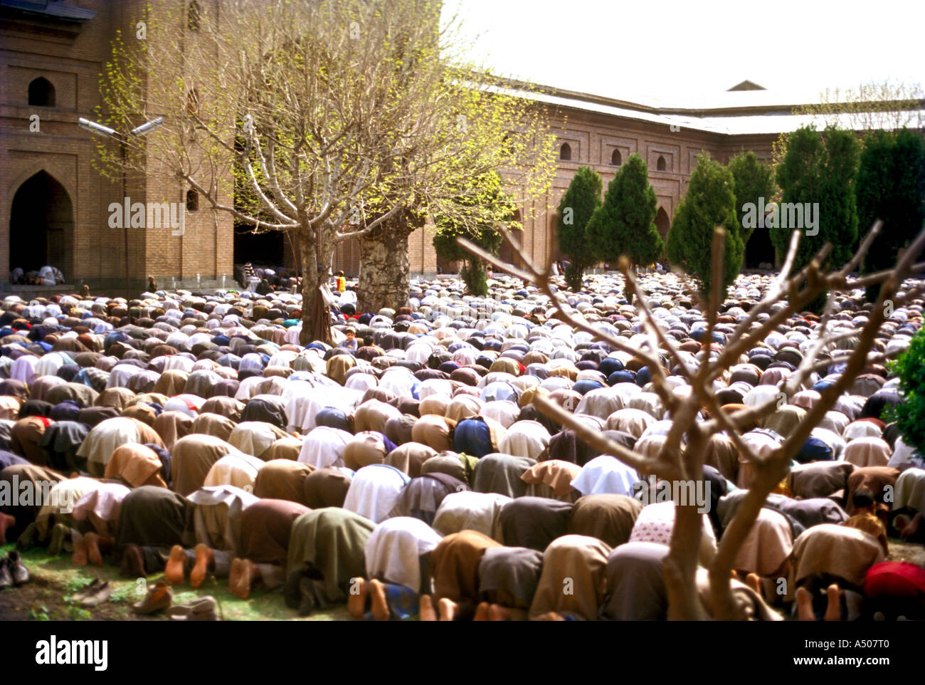 Offring hi-res stock photography and images - Alamy