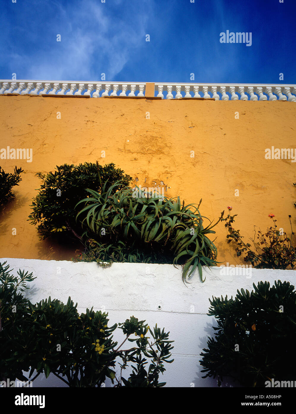 yellow wall in the city of Rota, Andalusia, Spain Europe. Photo by ...