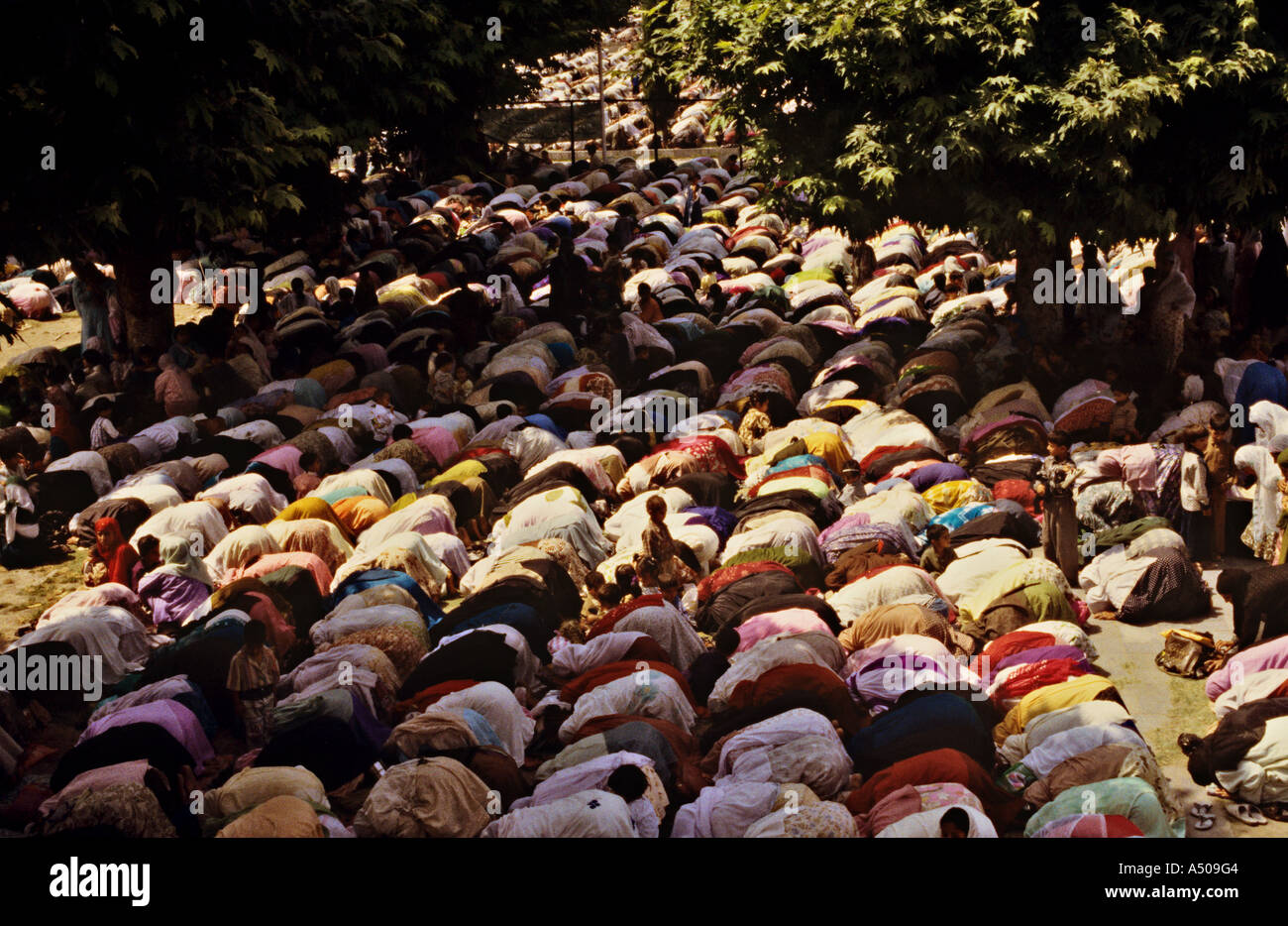Devotees offering prayer at a mosque Stock Photo - Alamy