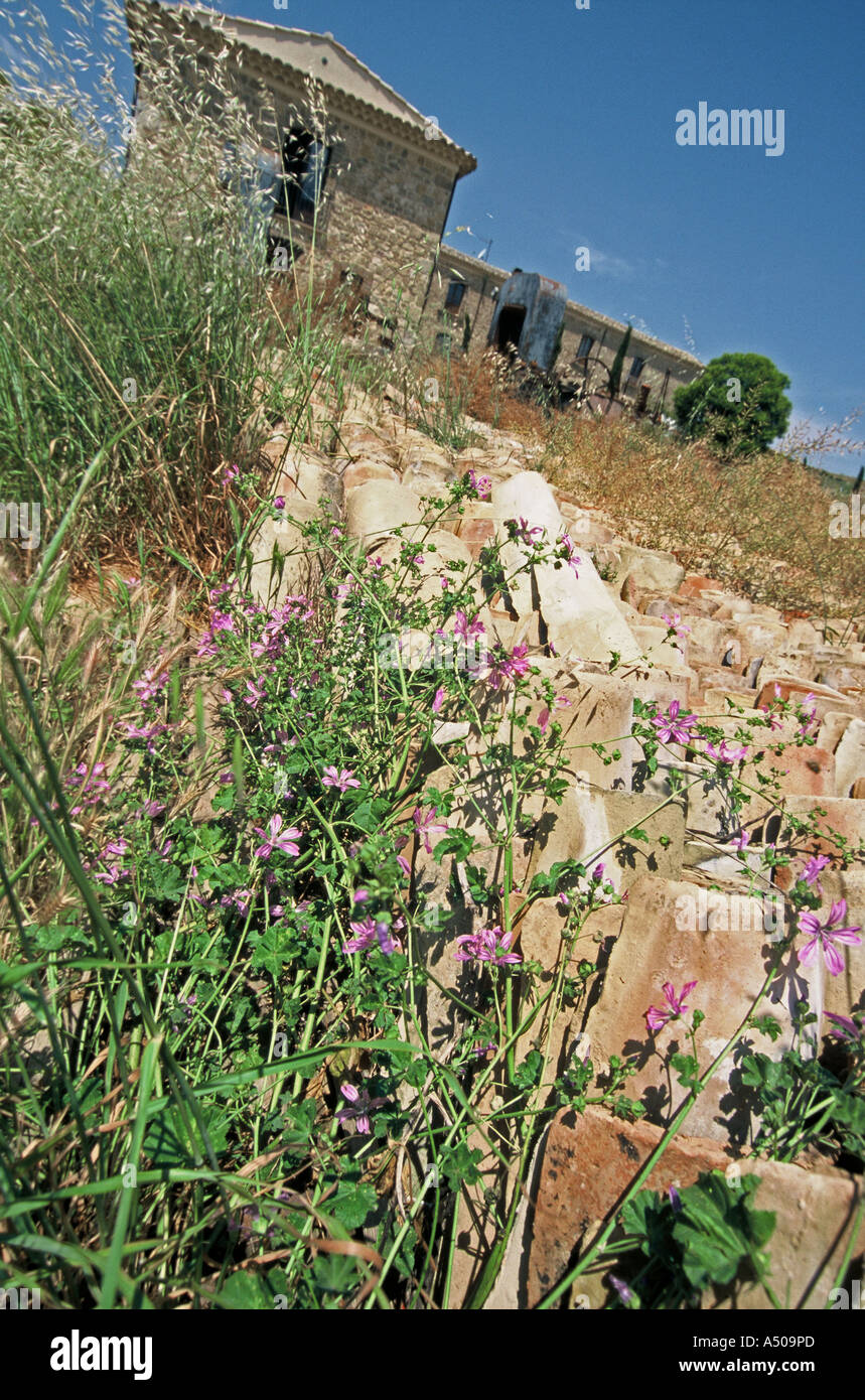 Sicily Italy, Old rural ruin on agricultural land Stock Photo - Alamy
