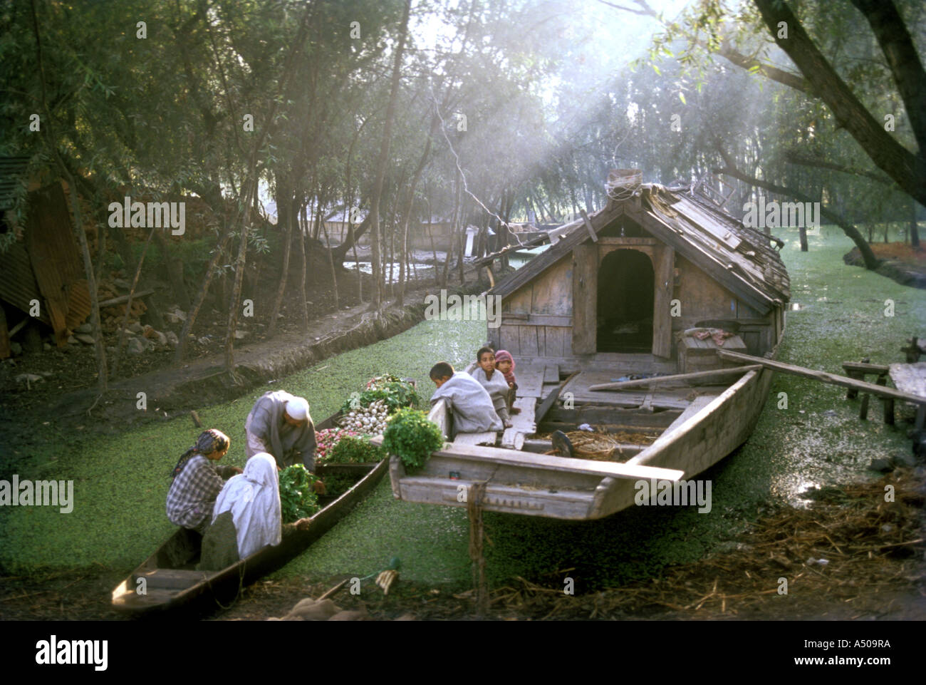 Life in a doonga in Jammu Kashmir Stock Photo - Alamy