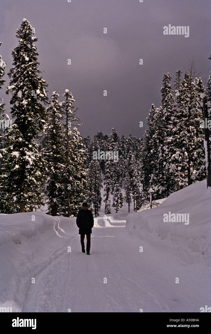 Winter in Gulmarg in Jammu Kashmir Stock Photo - Alamy