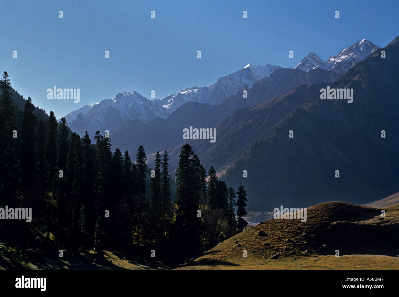 Landscape in Jammu Kashmir India Stock Photo - Alamy