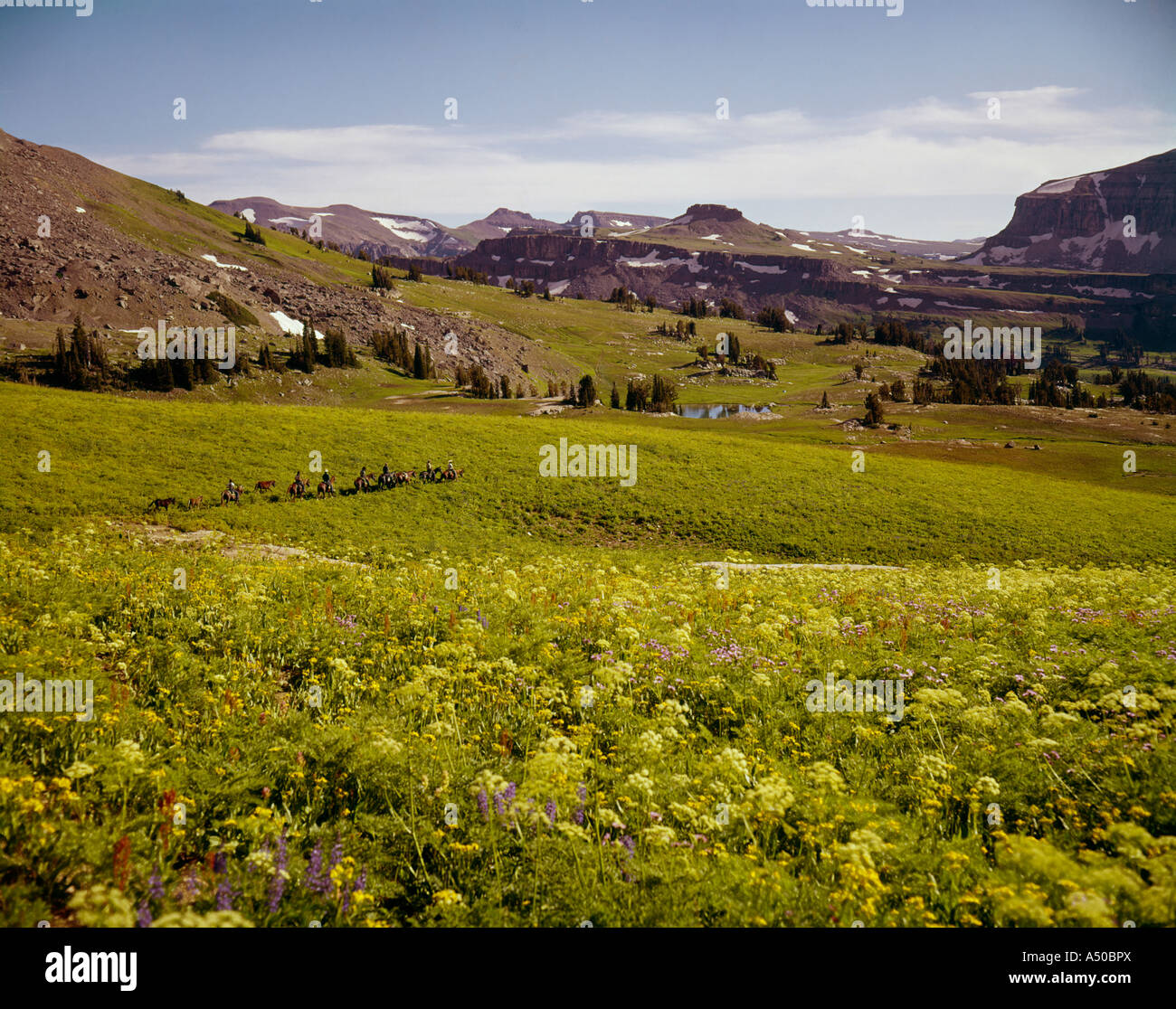 Horse pack hi-res stock photography and images - Alamy