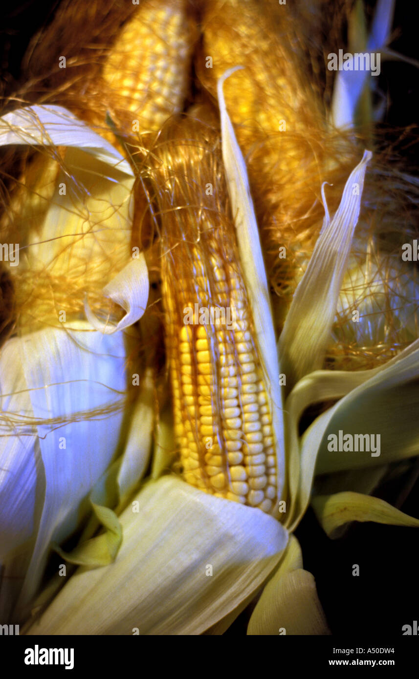 Liddar valley at Kashmir in Jammu Kashmir India Stock Photo - Alamy
