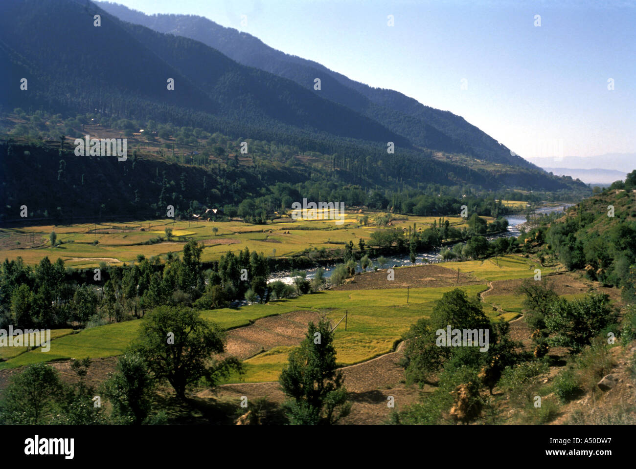 Liddar valley at Kashmir in Jammu Kashmir India Stock Photo - Alamy