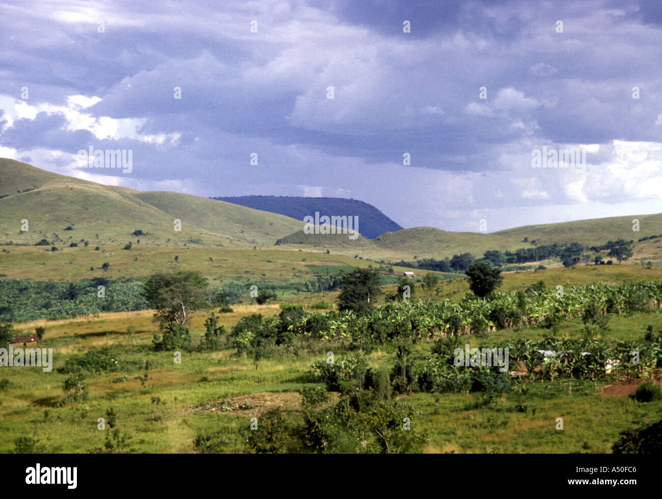 RURAL SCENE ANKOLE UGANDA AFRICA Stock Photo - Alamy