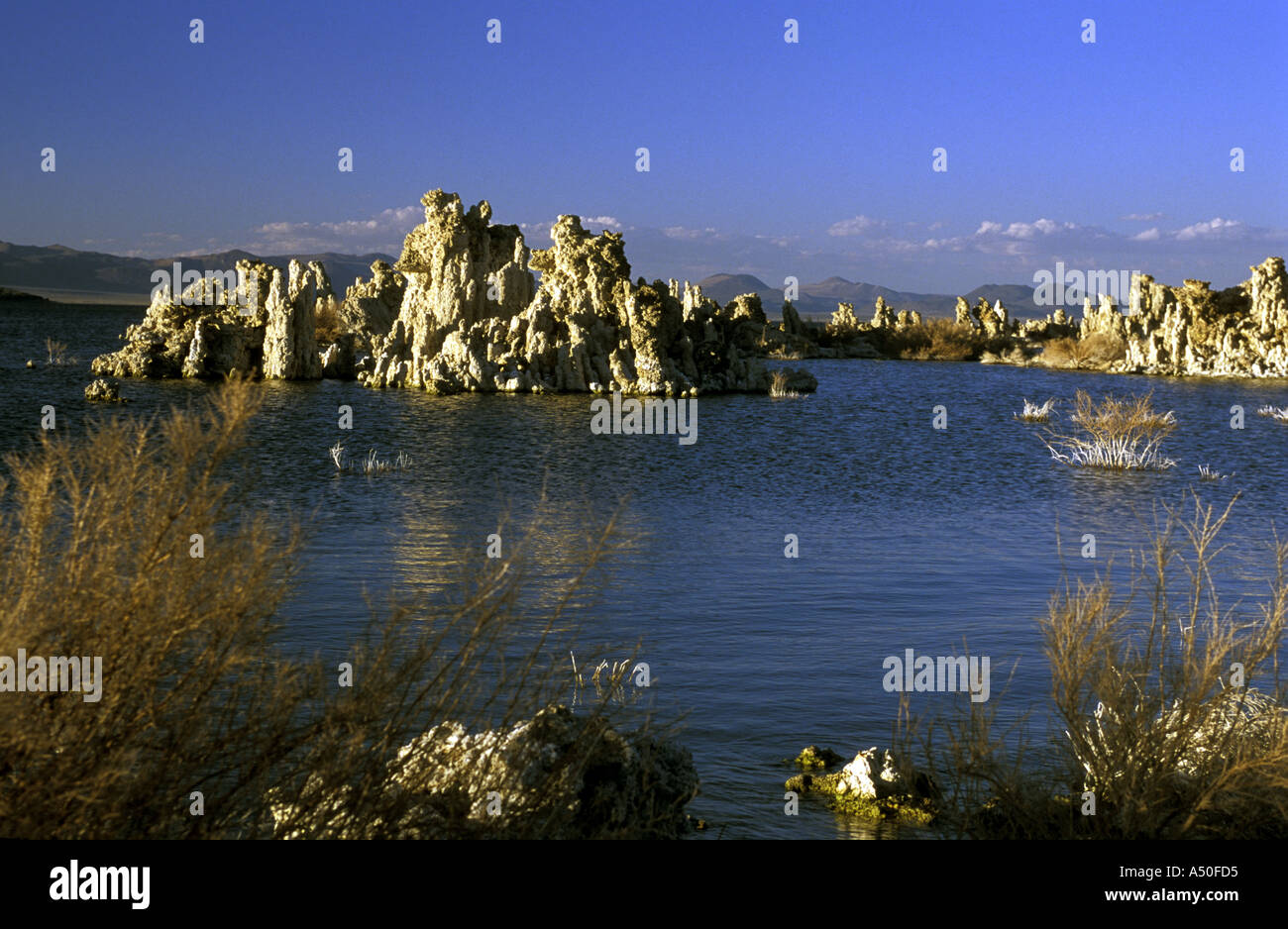EMERGENT TUFA COLUMNS MONO LAKE LEE VINNING CALIFORNIA Stock Photo - Alamy