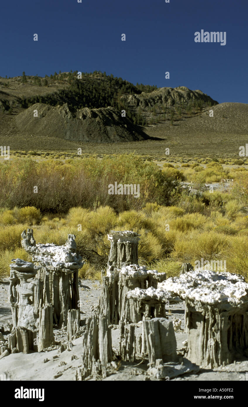 SAND TUFA AT NAVY BEACH MONO CRATER IN THE BACKGROUND Stock Photo - Alamy