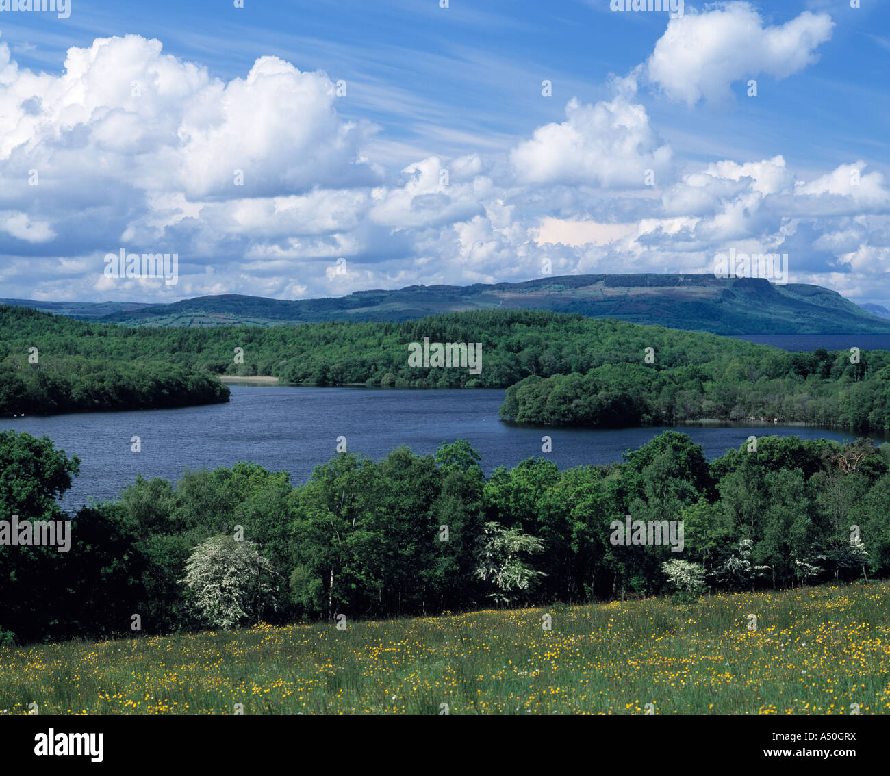 ireland, county fermanagh, lough erne waterway Stock Photo - Alamy