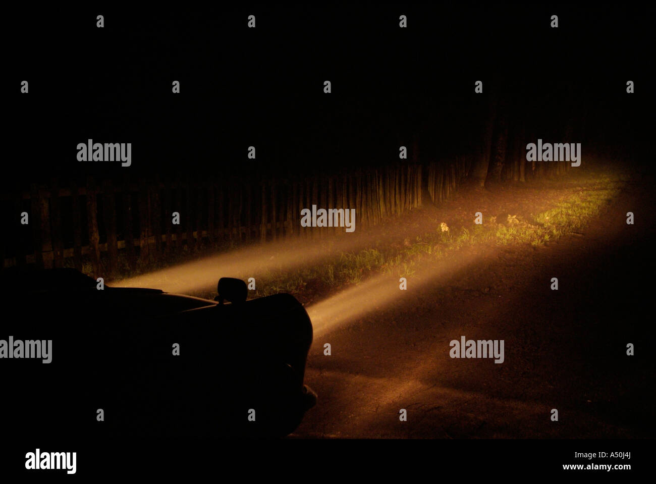 Car lightbeam fog hi-res stock photography and images - Alamy