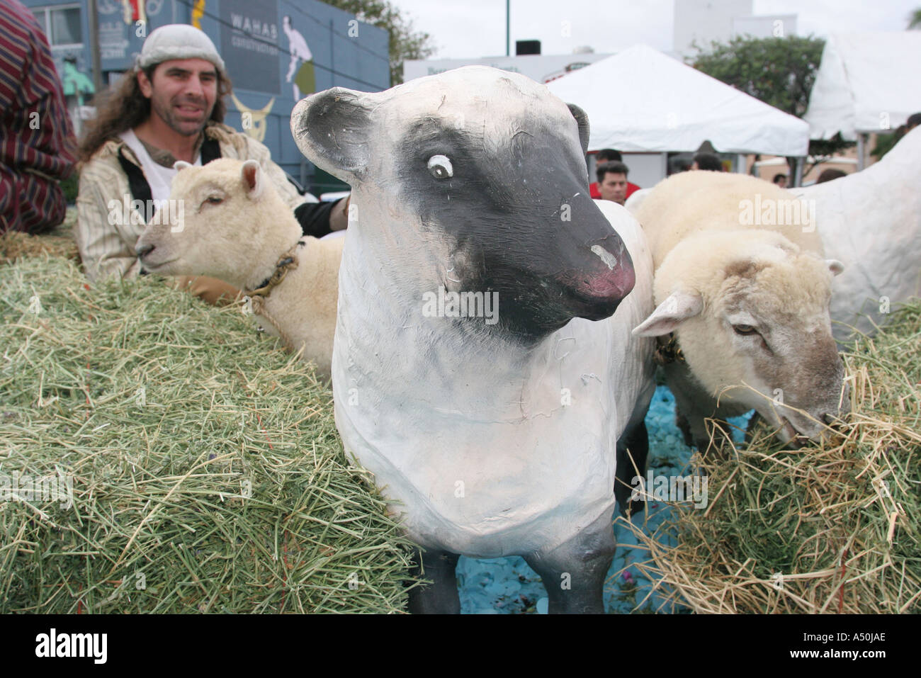 Paper mache sheep hi-res stock photography and images - Alamy