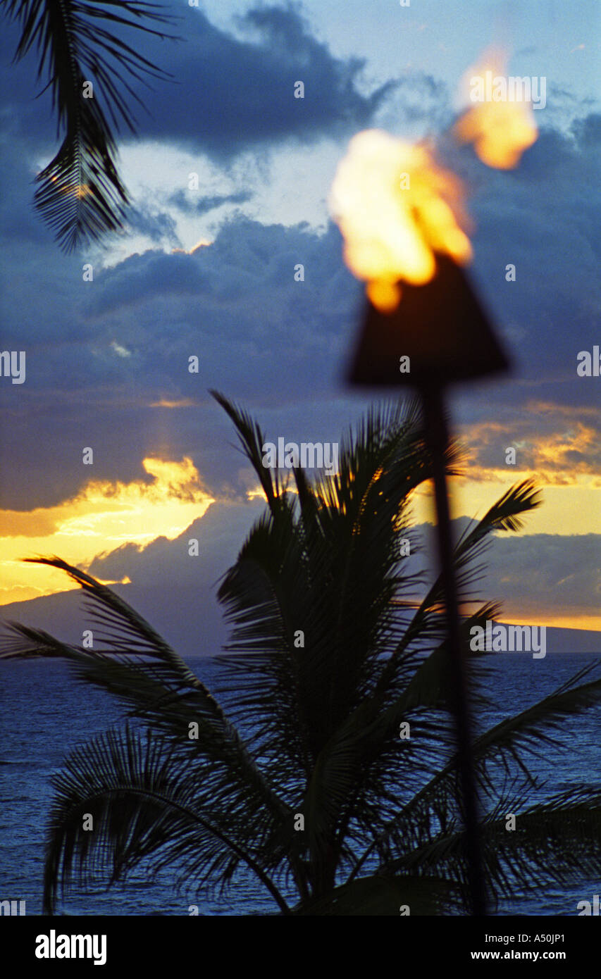 Sunset on Maui with tiki torch & palm tree Stock Photo - Alamy