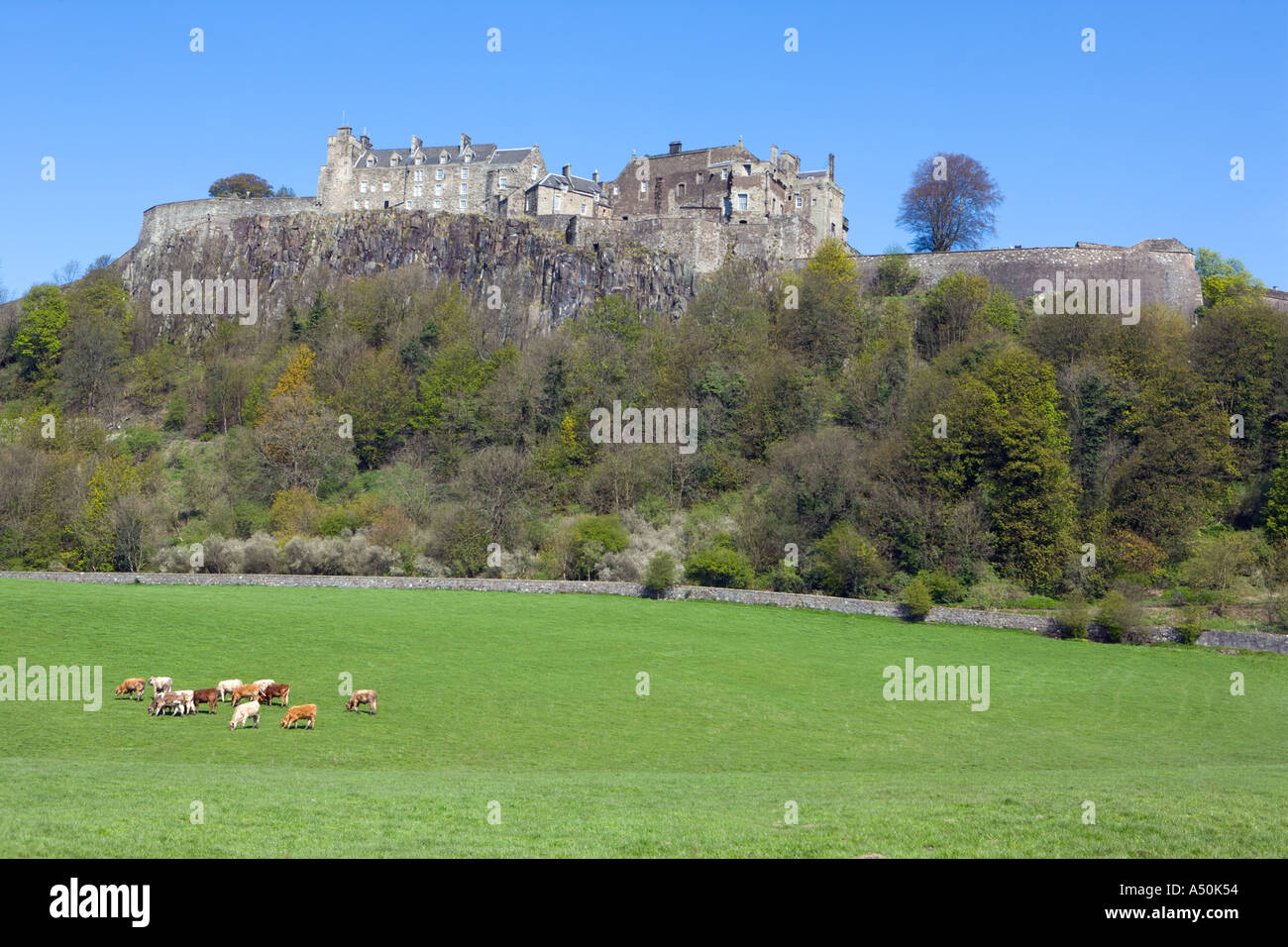 STIRLING CASTLE SCOTLAND Stock Photo - Alamy
