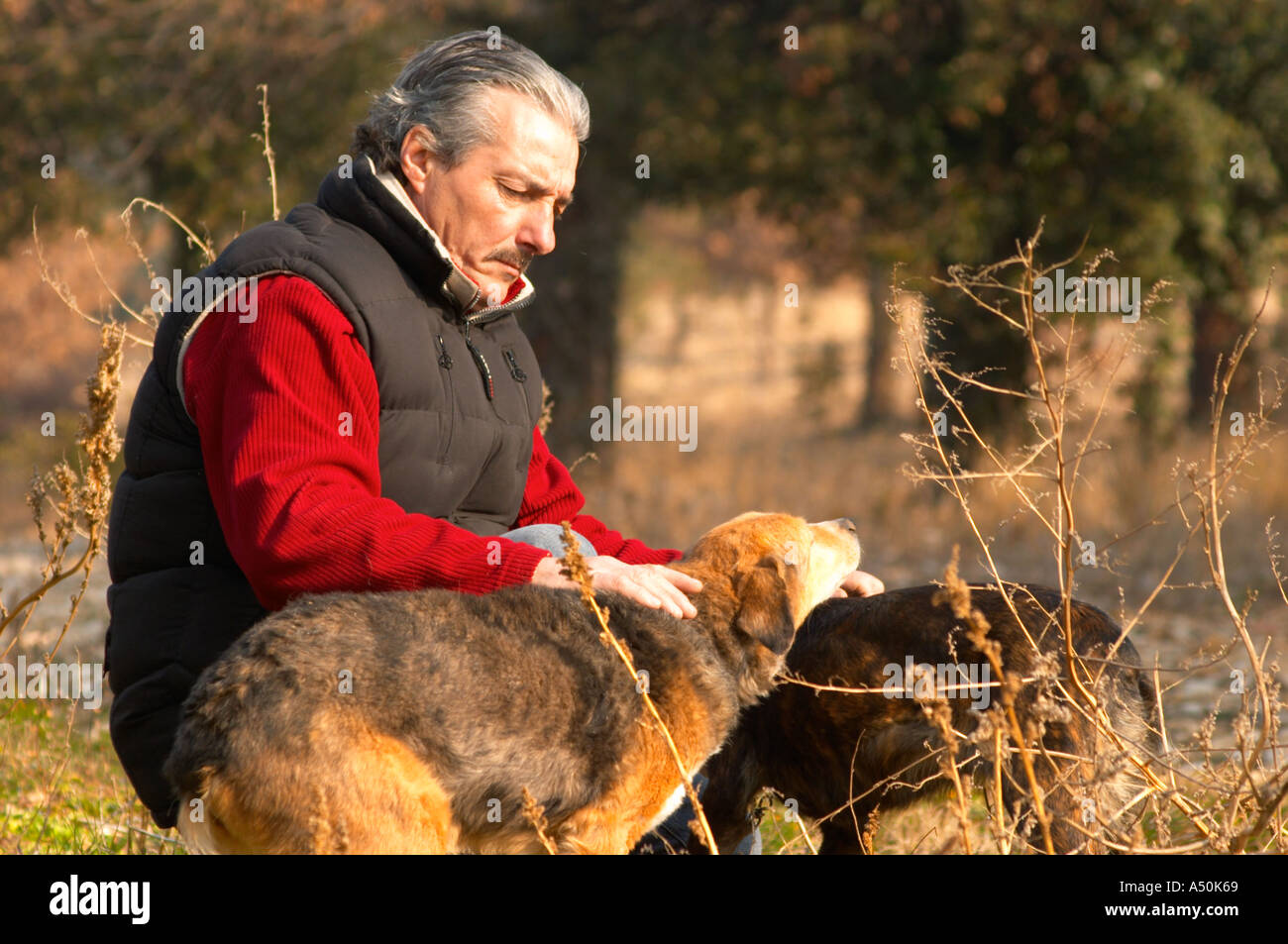 Truffle hunt france hi-res stock photography and images - Alamy