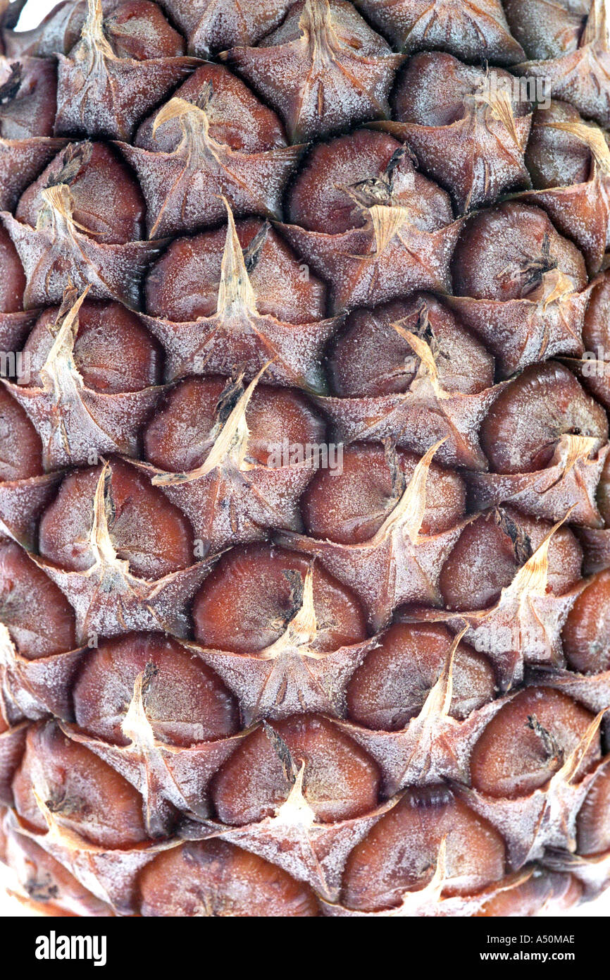 Husk pineapple hi-res stock photography and images - Alamy