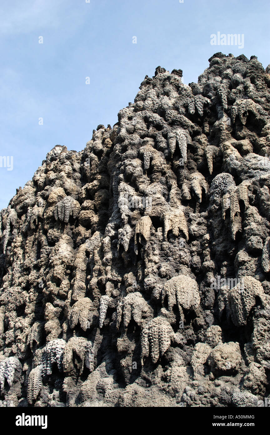 Stalagmite wall in Wallenstein Gardens, Prague Czech Republic Stock ...