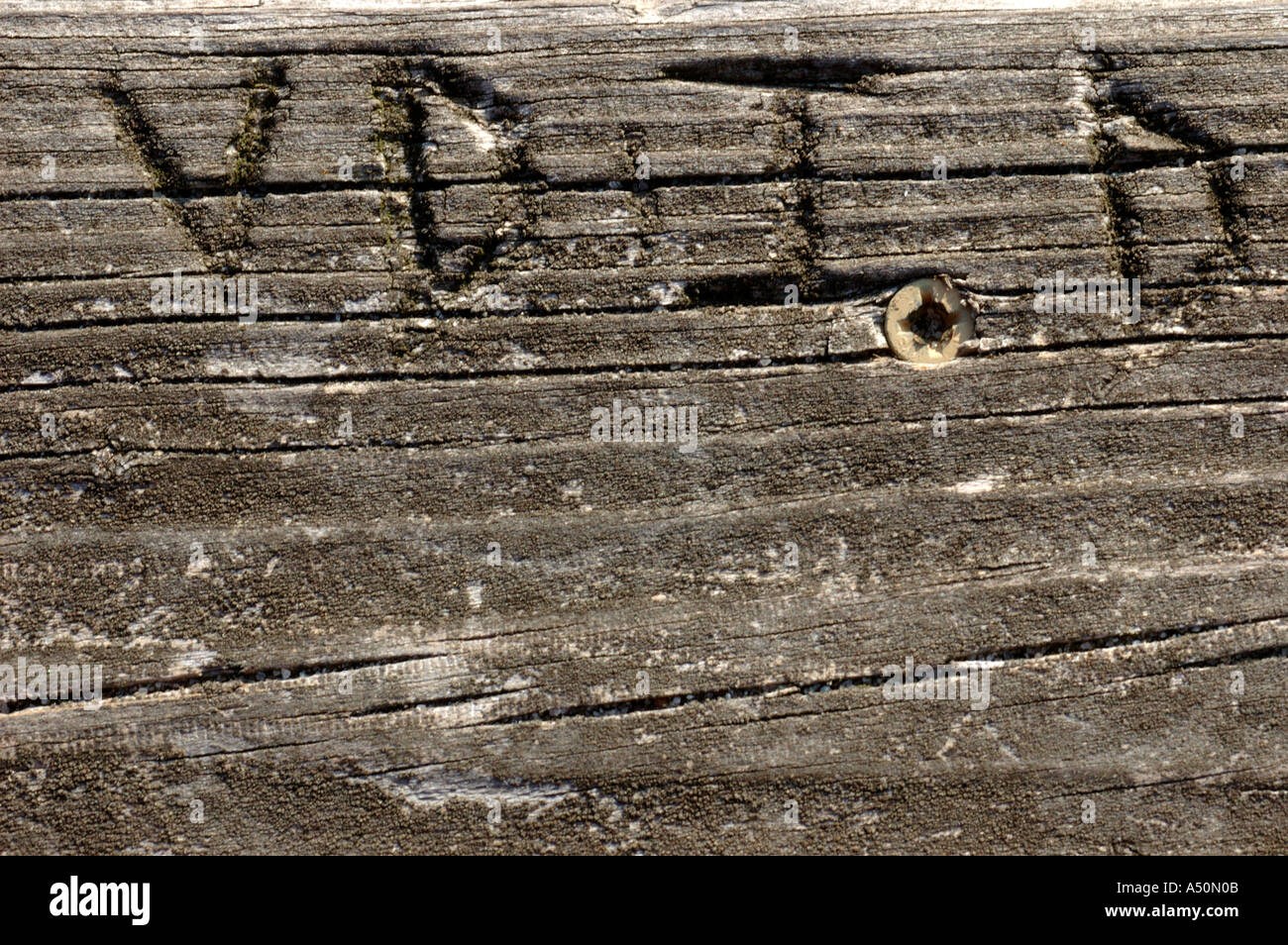 wood grain dry wood old wood rotted wood pattern background texture ...