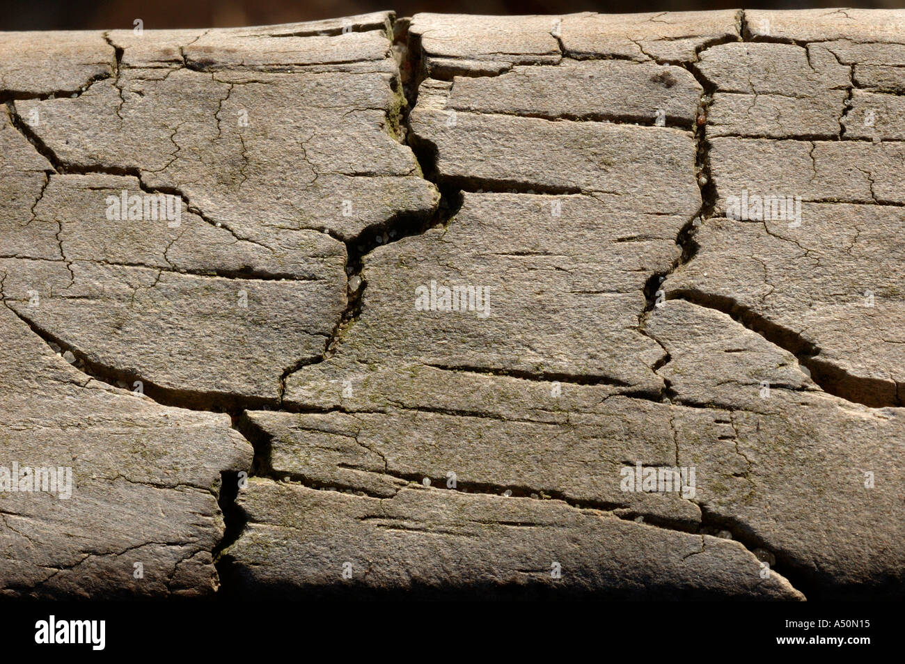 wood grain dry wood old wood rotted wood pattern background texture ...