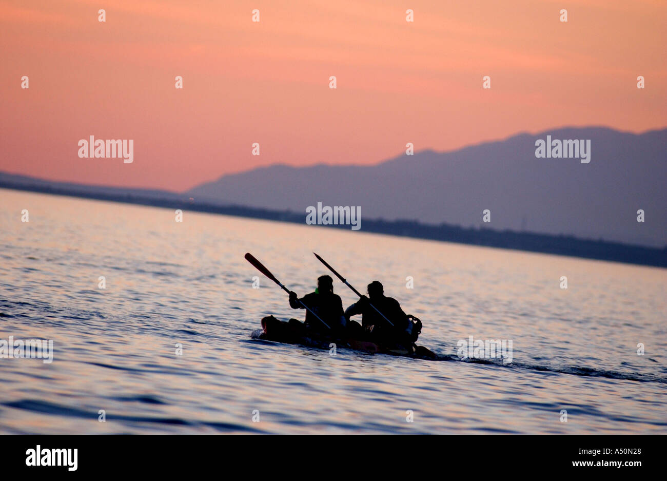 Adventure race athletes paddling kayaks at sunset Stock Photo - Alamy