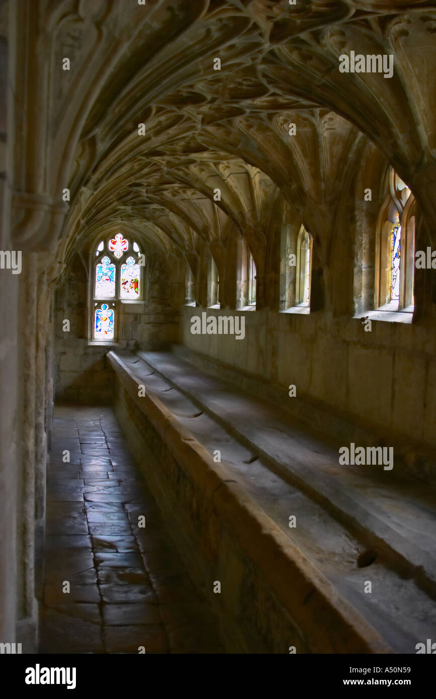 Lavatorium hi-res stock photography and images - Alamy