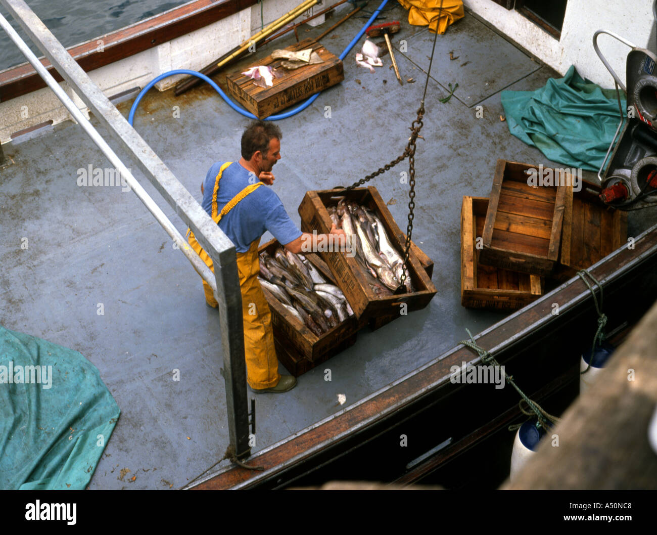 Fish net trawler catch hi-res stock photography and images - Alamy