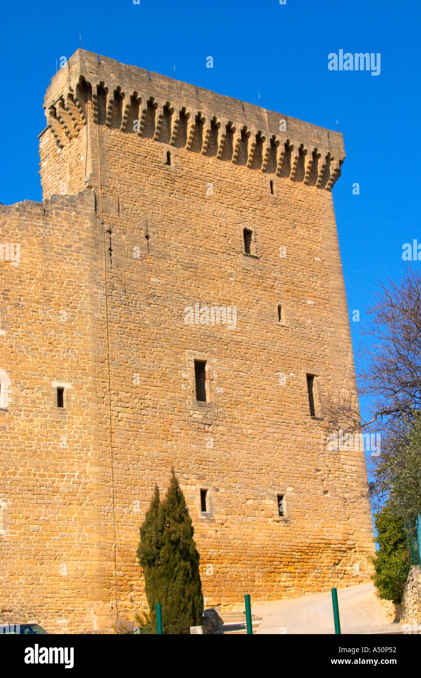 The ruins of the Pope's summer castle in Chateauneuf-du-Pape, Vaucluse ...